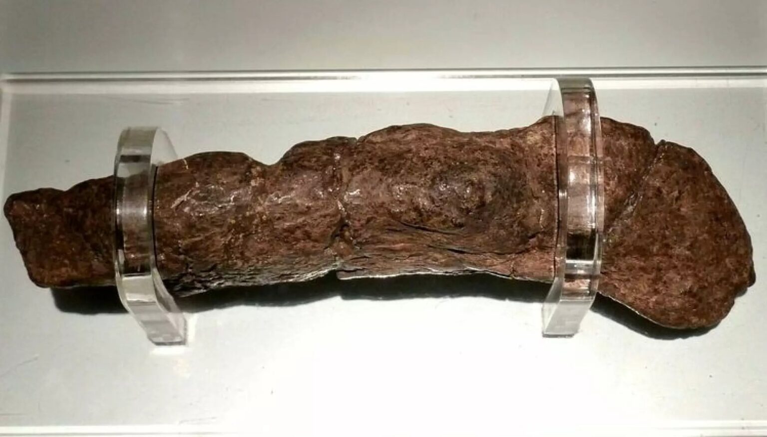 The Legendary Viking Poop: How a 1,200-Year-Old Feces Became a National ...