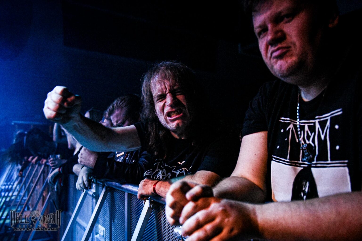 The Legendary Viking Poop: How a 1,200-Year-Old Feces Became a National ...